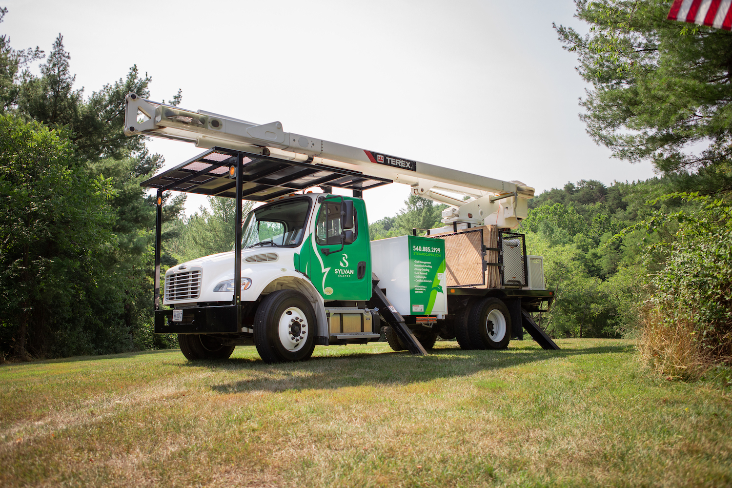 Arbor Maintenance Commercial Arborist In Staunton Beyond